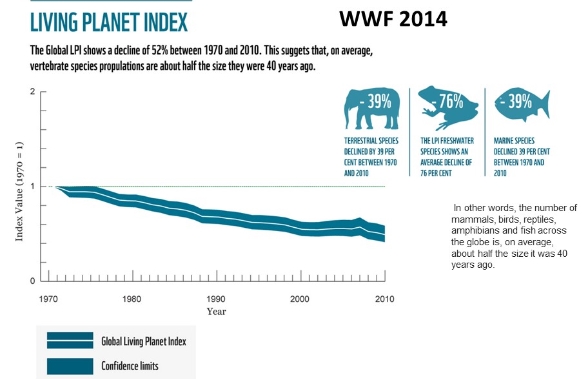 Species & Ecosystems